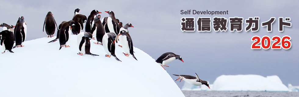 misty-egg マナビト表紙サンプル集