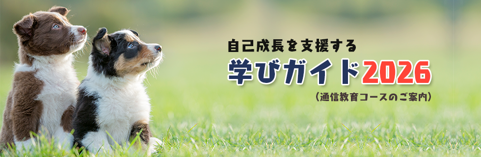 misty-egg マナビト表紙サンプル集